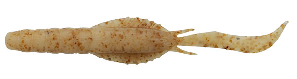 新製品 エコギア熟成アクア スイムシュリンプ3″ | INFORMATION | ECOGEAR