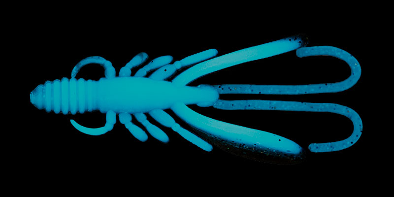 新色 バグアンツ2″ | INFORMATION | ECOGEAR